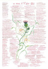 The Amazing Devil Shop